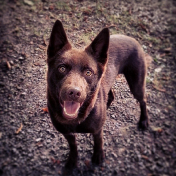 Bohemia Recap – December 2021 | Blog | Bohemia Interactive